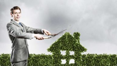 Proven way to be Eco Conscious Individual or Business owner